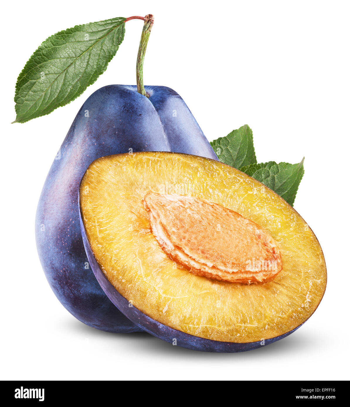 Cross section plum hi-res stock photography and images - Alamy