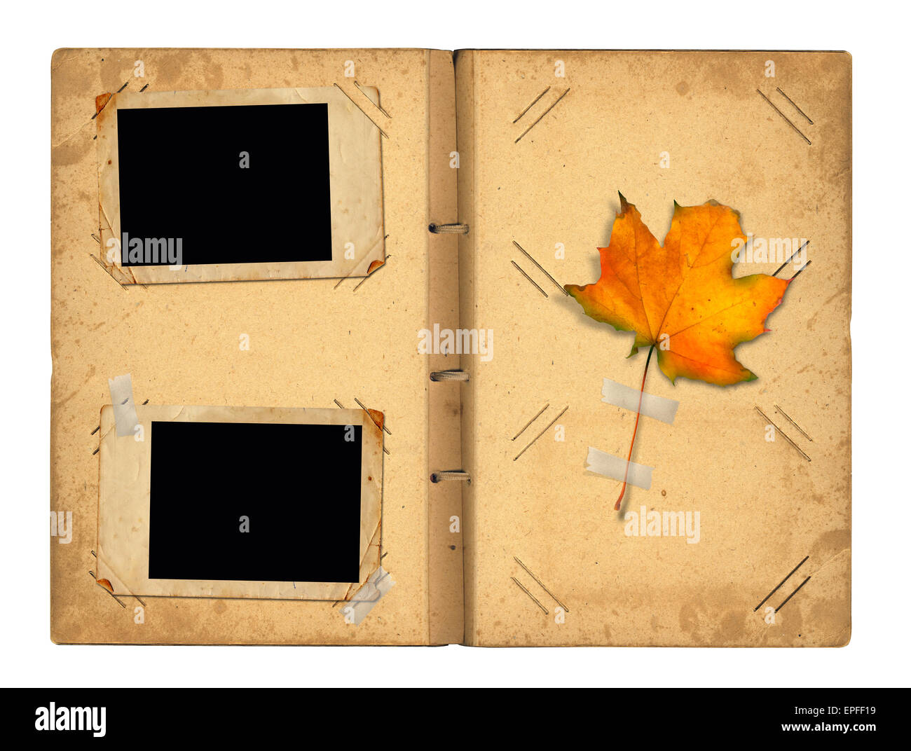 Open vintage photoalbum for photos with autumn foliage on white ...