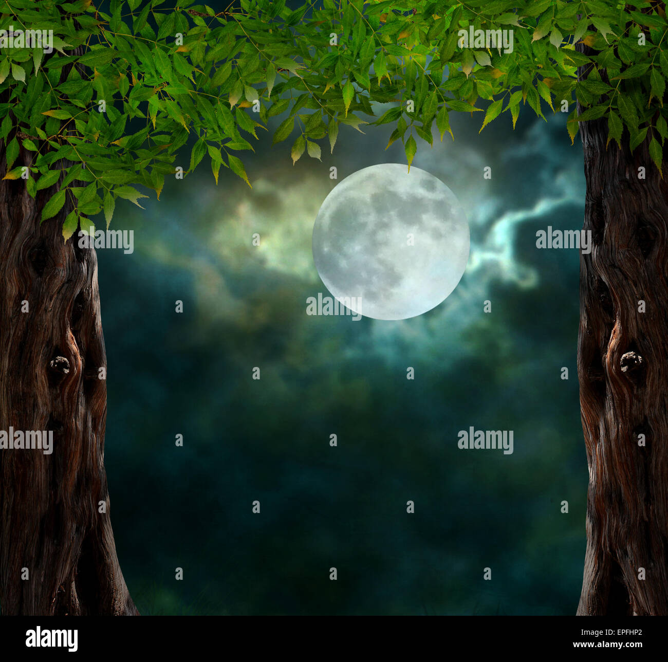Fabulous night scenery, ancient trees, the bright moon Stock Photo - Alamy