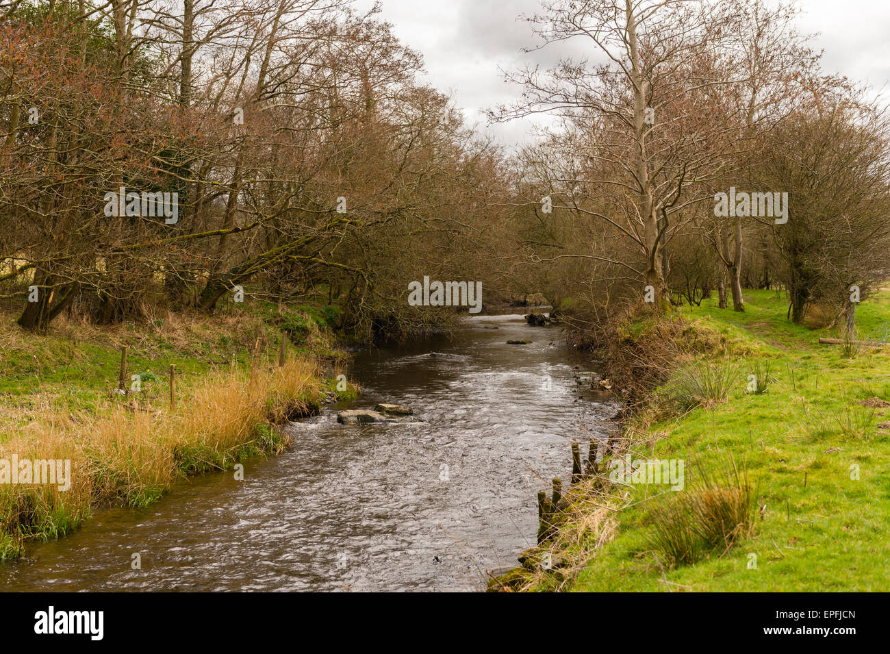 Early spring: The River Aeron , near Talsarn, Ceredigion Wales UK Stock ...