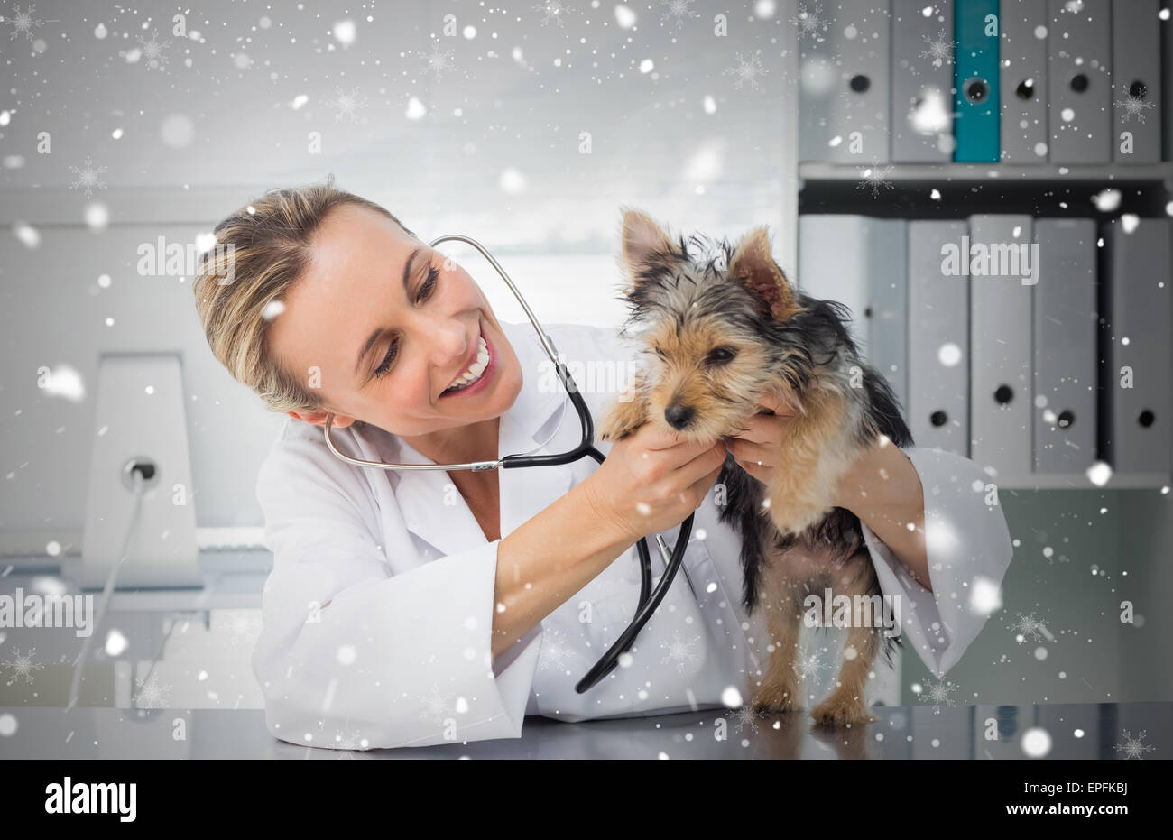 Veterinarian checking dog with stethoscope Stock Photo - Alamy