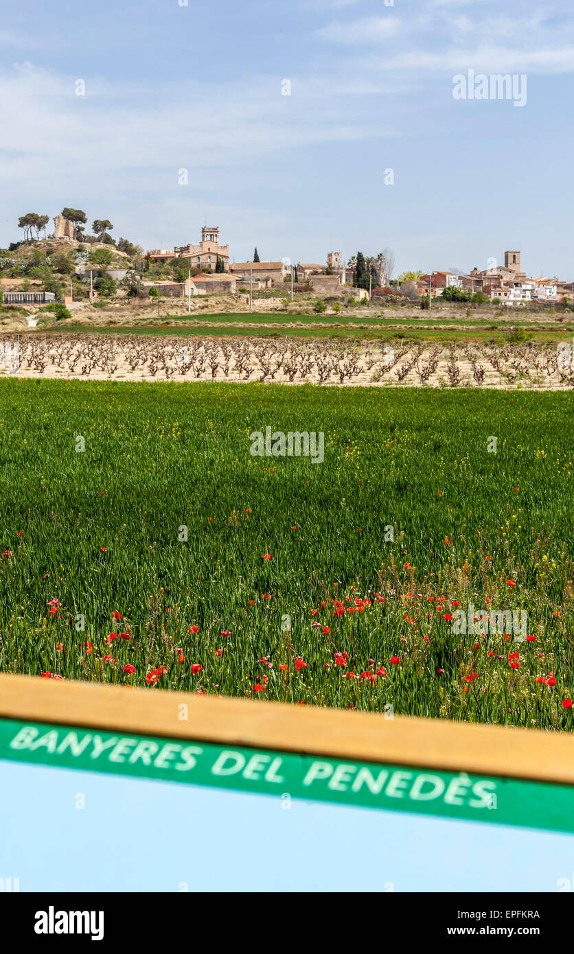 Banyeres del Penedes,Catalonia,Spain Stock Photo - Alamy