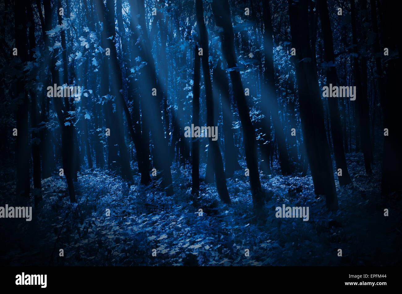 Moonlit magic hi-res stock photography and images - Alamy