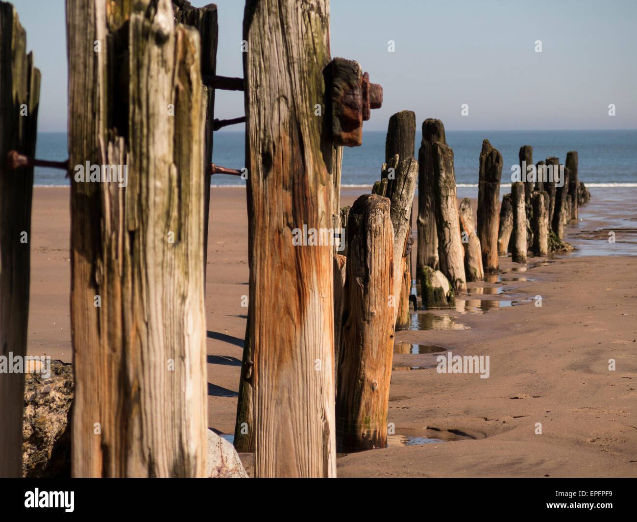 Old wooden pilings hi-res stock photography and images - Alamy