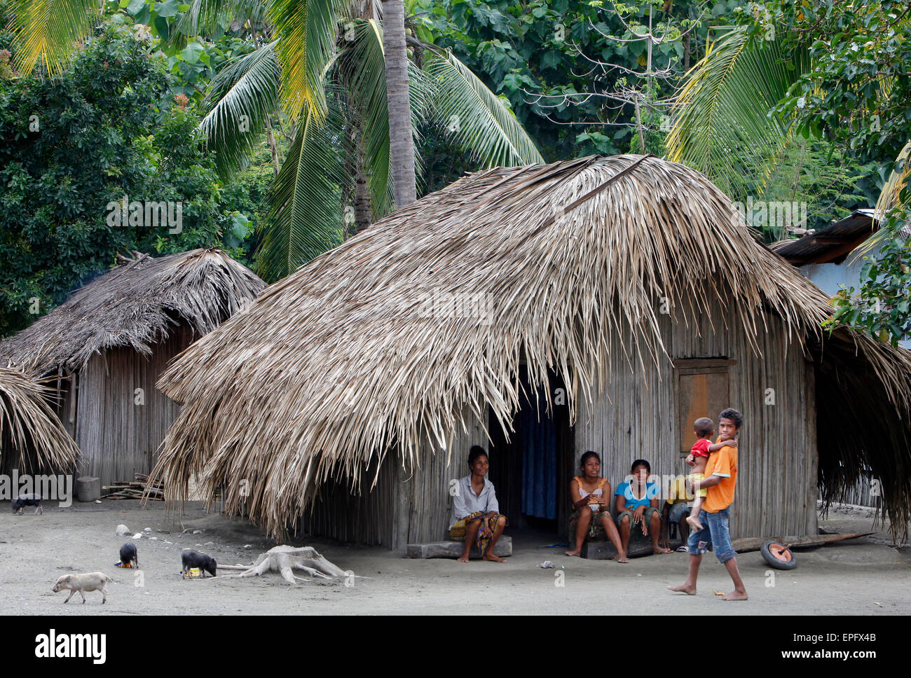 Timor leste hut hi-res stock photography and images - Alamy