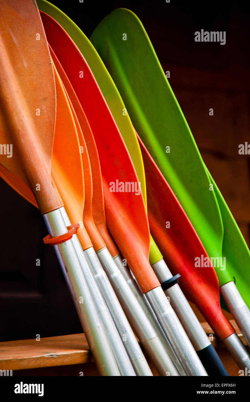 Bunch of plastic colorful oars Stock Photo - Alamy
