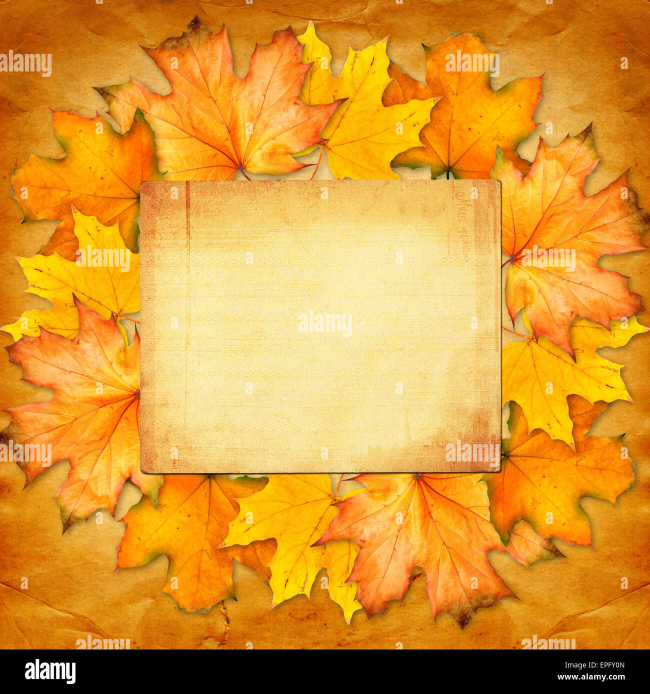Grunge paper design in scrapbooking style with photoframe and autumn ...