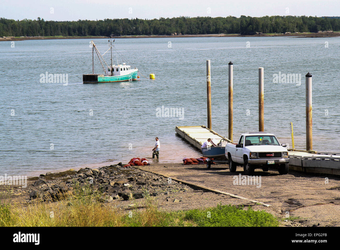 Men loading seaweed Stock Photo - Alamy