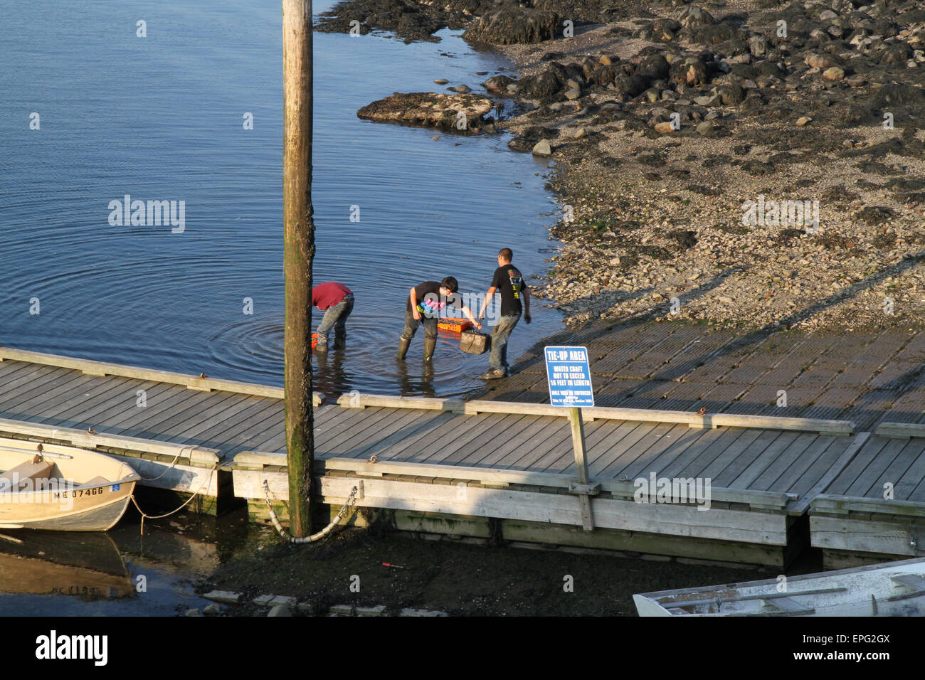 Collecting and rinsing shellfish Stock Photo - Alamy