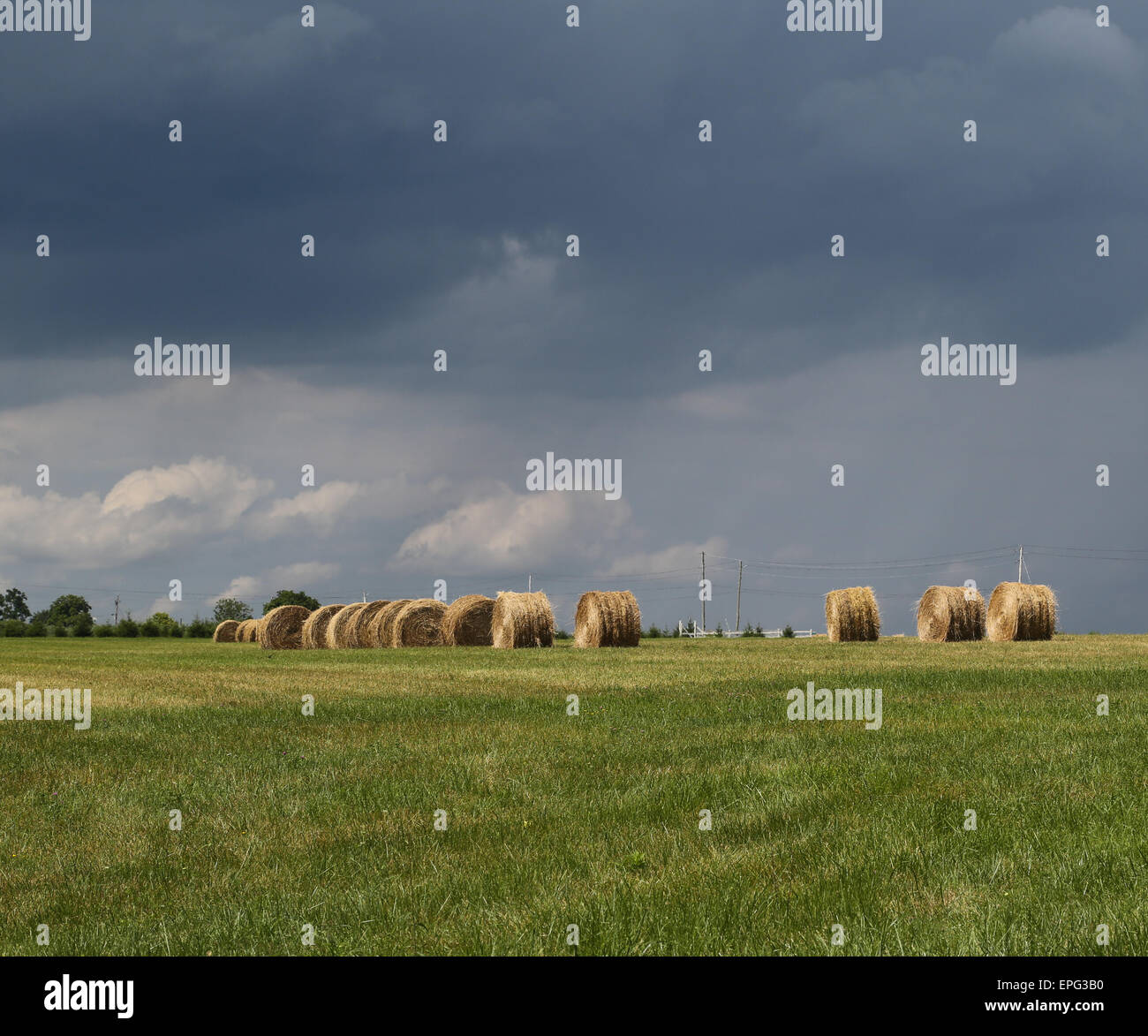 Rolled Hay in a green field Stock Photo - Alamy