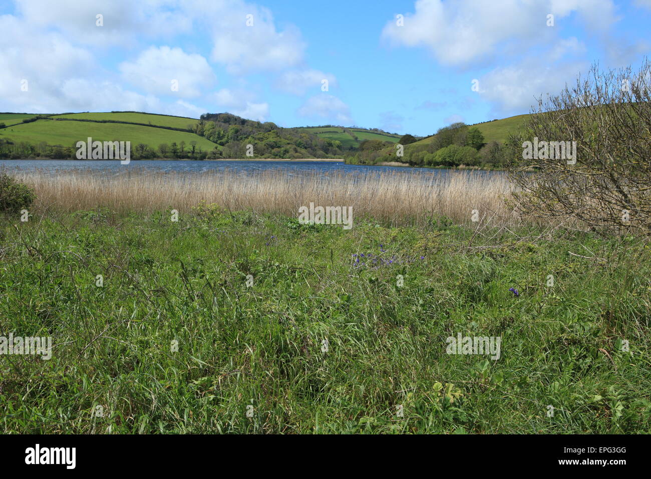 Slapton Ley - nature reserve, South Hams, Devon, England, UK Stock ...