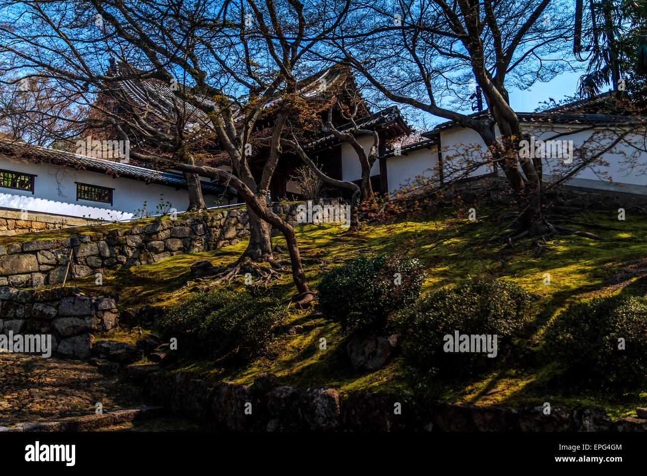 Japanese temple garden in Kyoto Stock Photo - Alamy