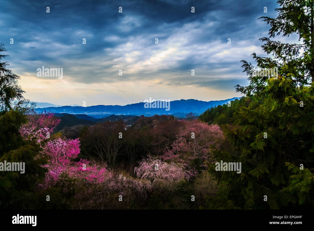 beautiful Japanese mountain landscape Stock Photo - Alamy