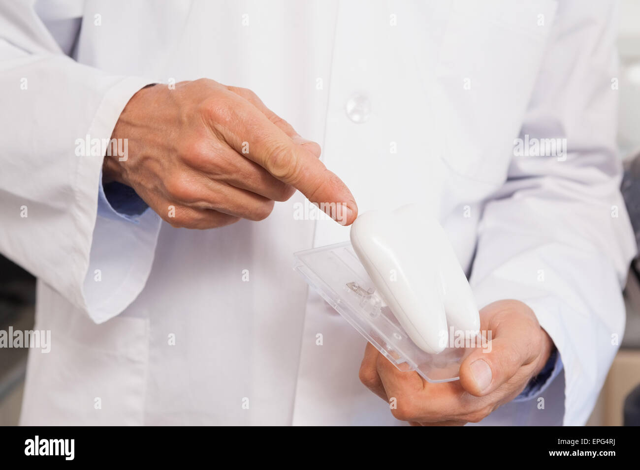 Dentist pointing to model of tooth Stock Photo - Alamy