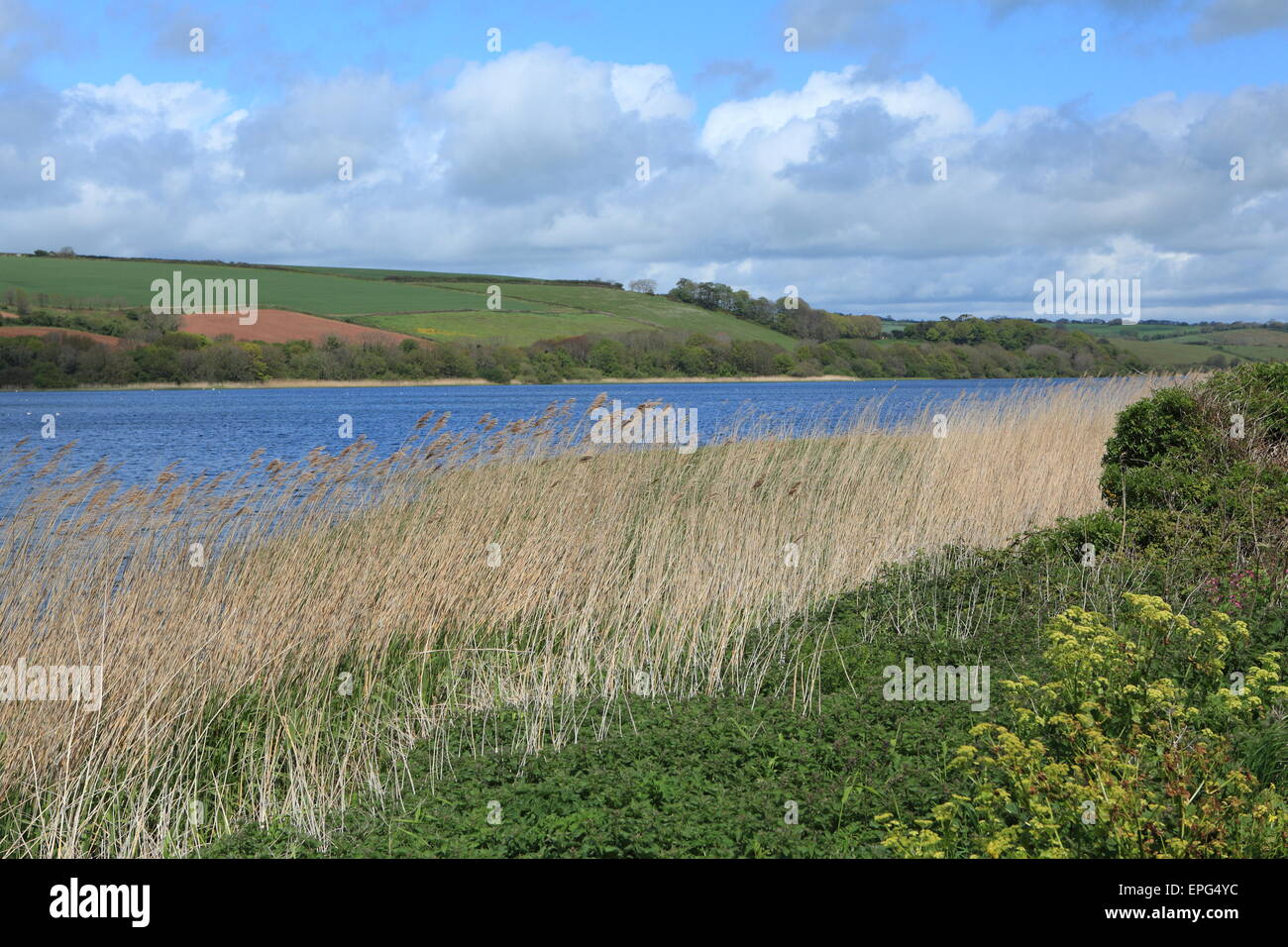 Slapton Ley - nature reserve, South Hams, Devon, England, UK Stock ...