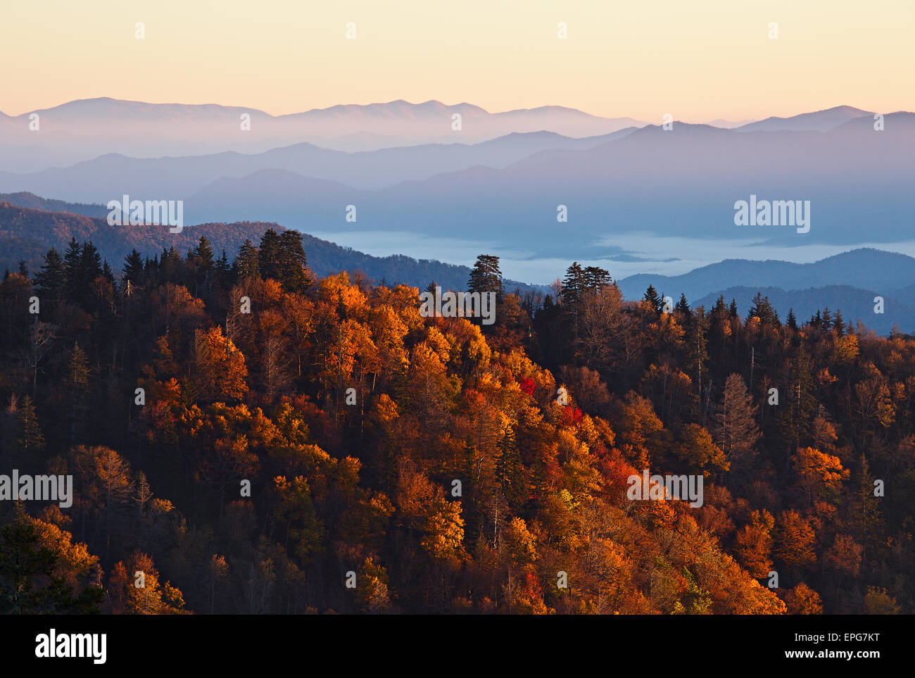 Sunrise at Smoky Mountains. Great Smoky Mountains National Park, USA ...