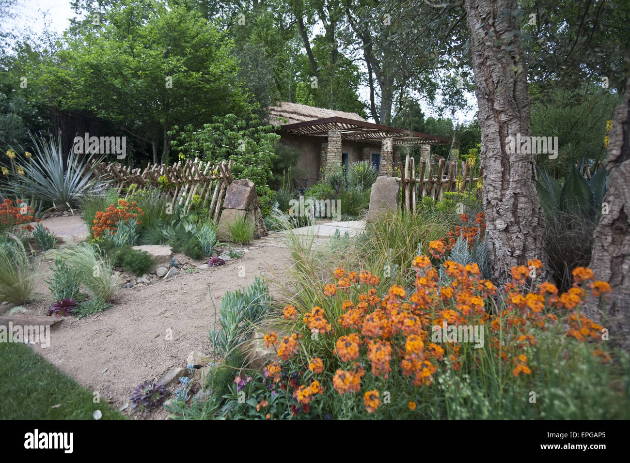 London, UK. 18th May, 2015. ''Sentebale - Hope in Vulnerabilty Garden ...