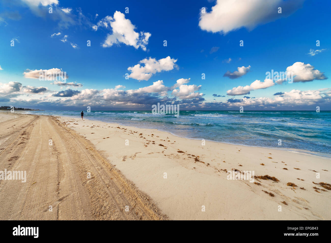running on beach Stock Photo - Alamy
