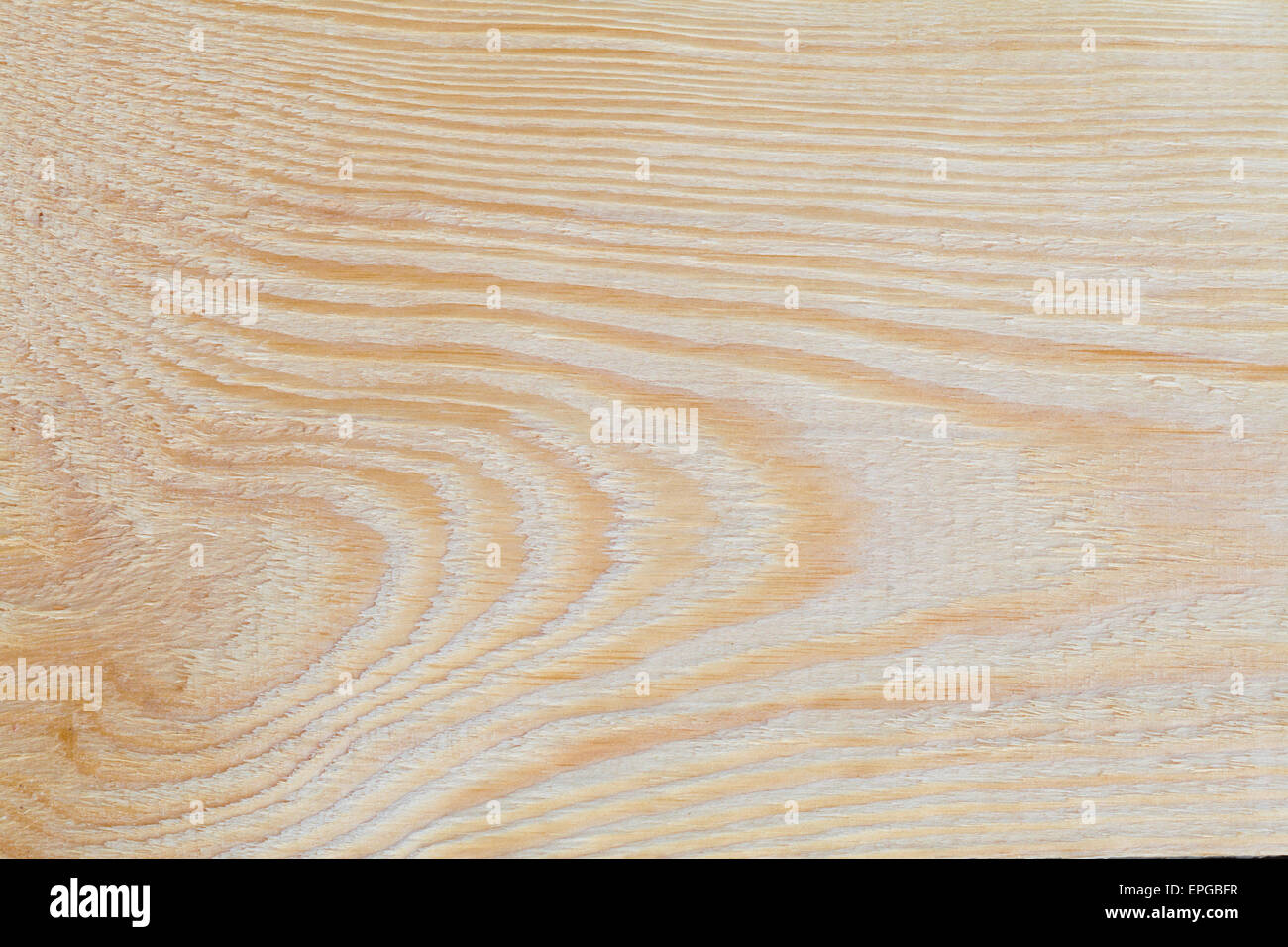 Birch wood grain hi-res stock photography and images - Alamy