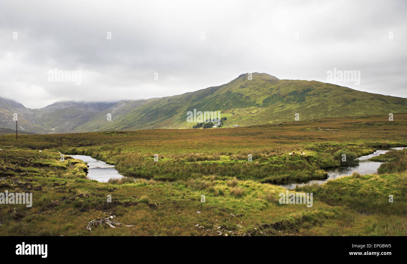 National park Connemara in summer Stock Photo - Alamy