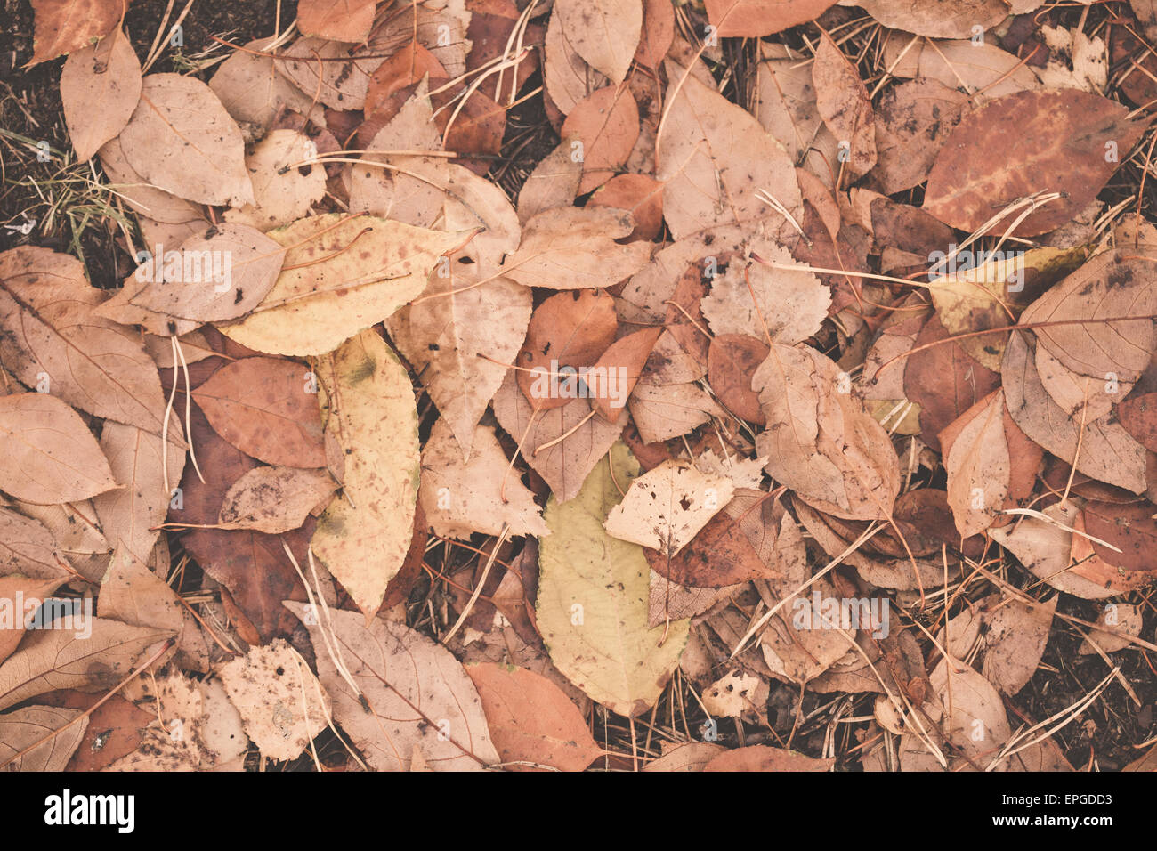 Time date autumn hi-res stock photography and images - Alamy