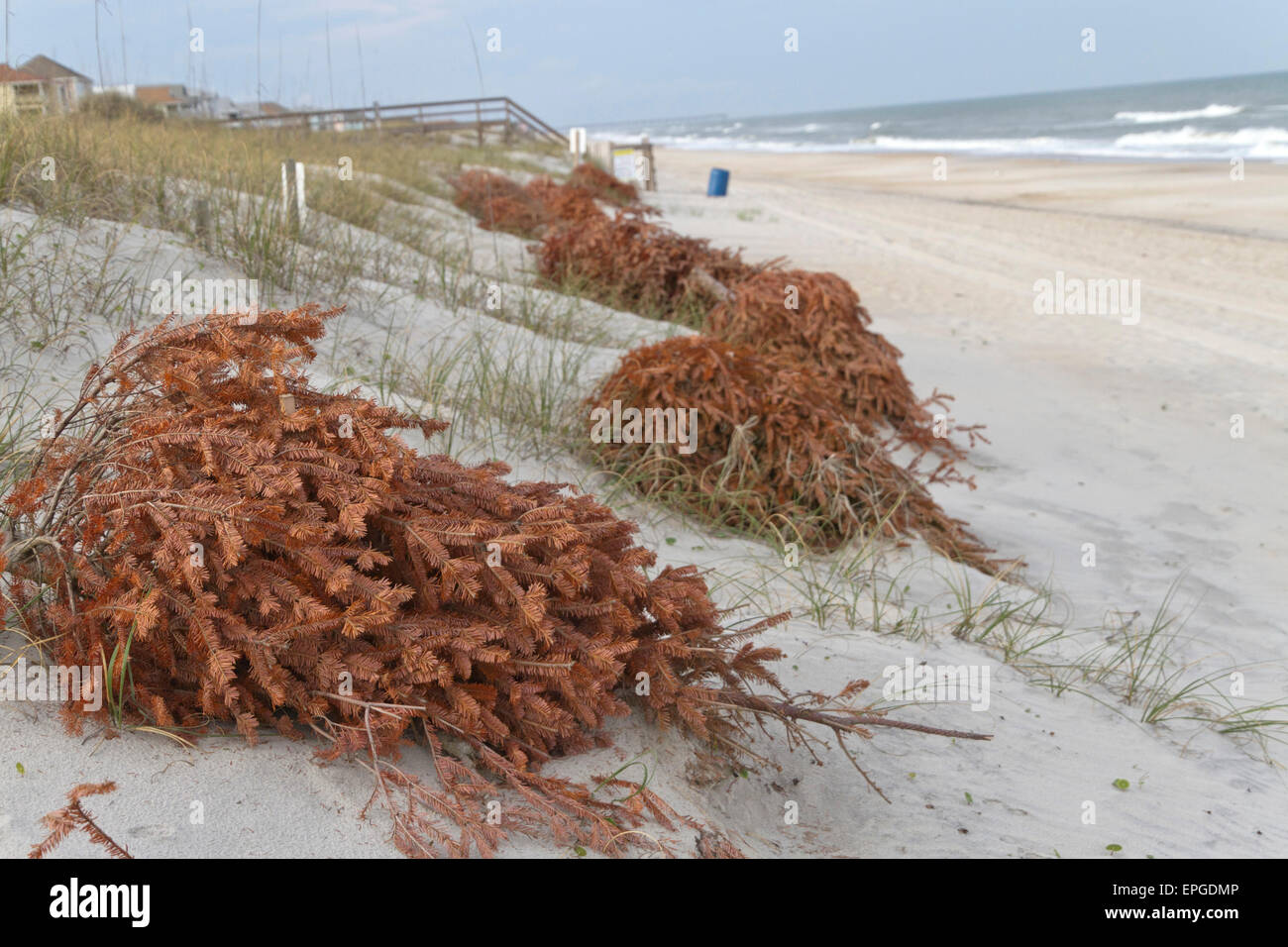 Wind fence erosion hi-res stock photography and images - Alamy