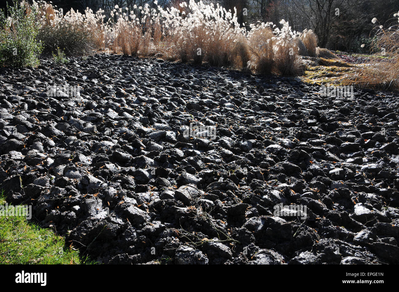 Soil break hi-res stock photography and images - Alamy