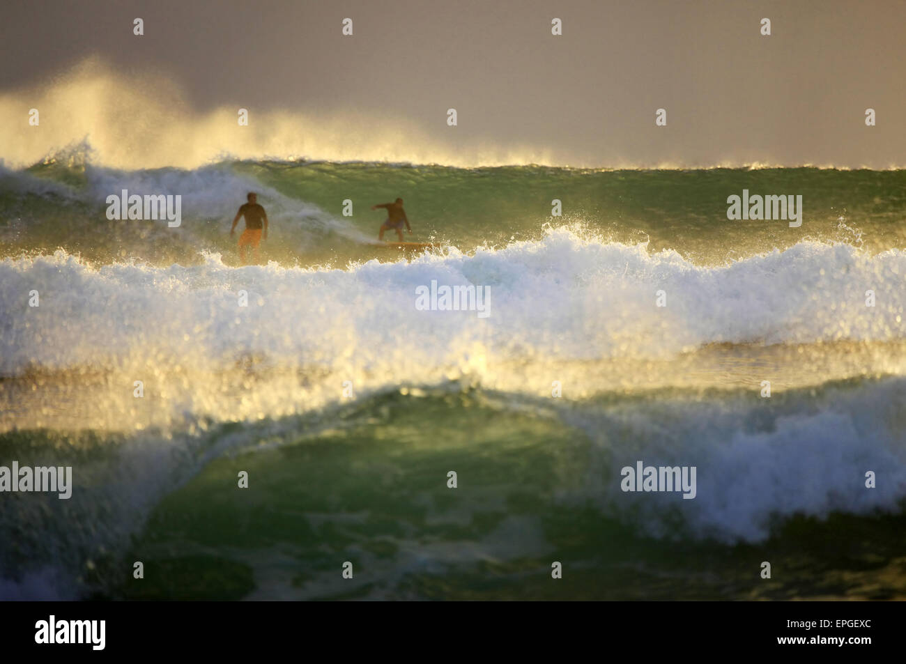 surfers on sunset Stock Photo - Alamy
