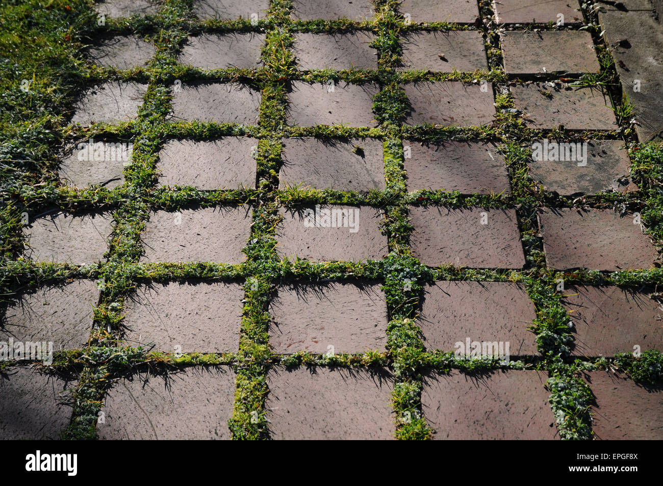 Grass pavement hi-res stock photography and images - Alamy