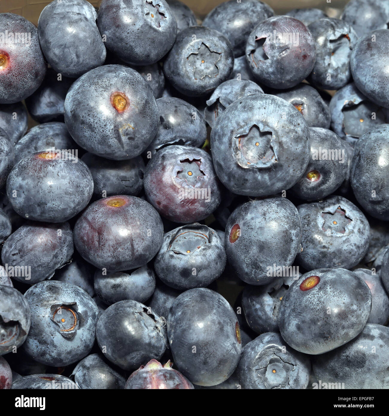 Blueberry bunch hi-res stock photography and images - Alamy