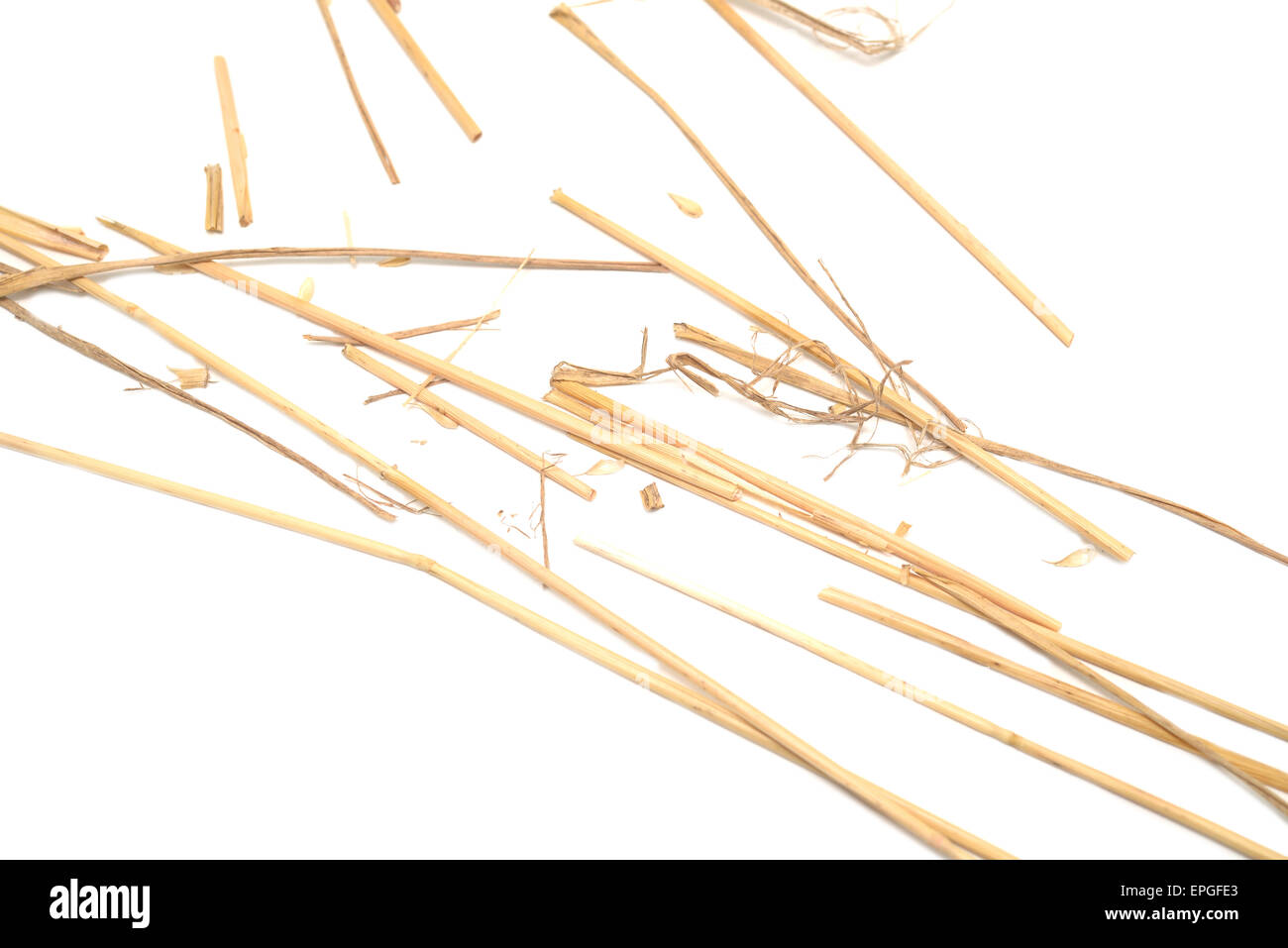 Agriculture rural tangled hi-res stock photography and images - Alamy