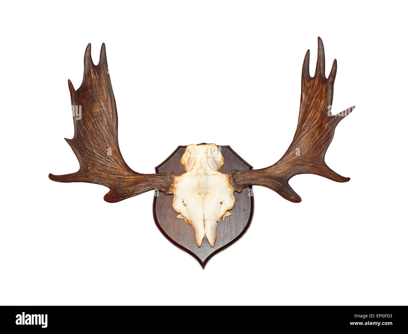 Antlers cut out hi-res stock photography and images - Alamy