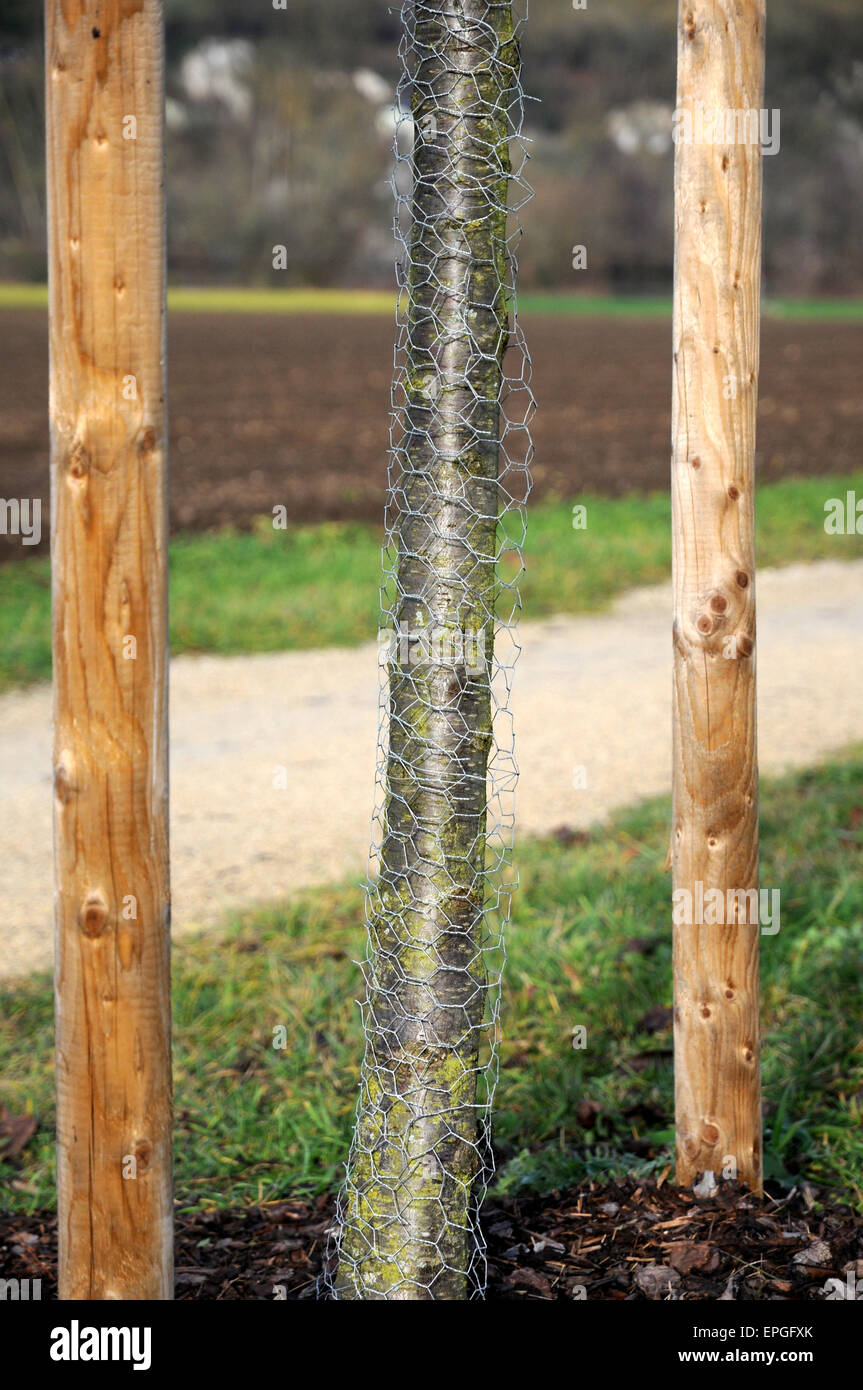 Biologischer pflanzensc hi-res stock photography and images - Alamy