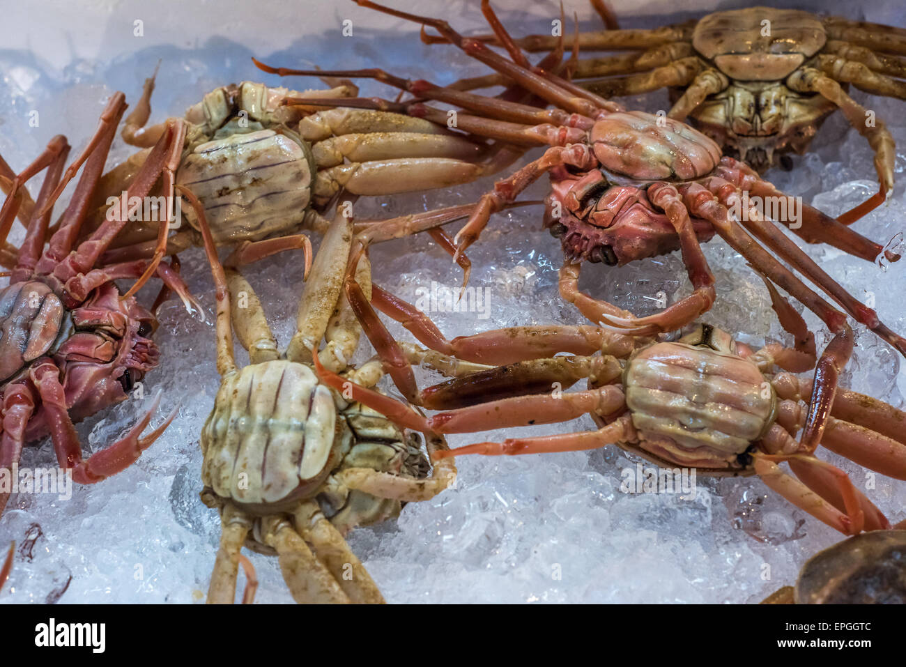 Fresh crabs at seafood market Stock Photo - Alamy