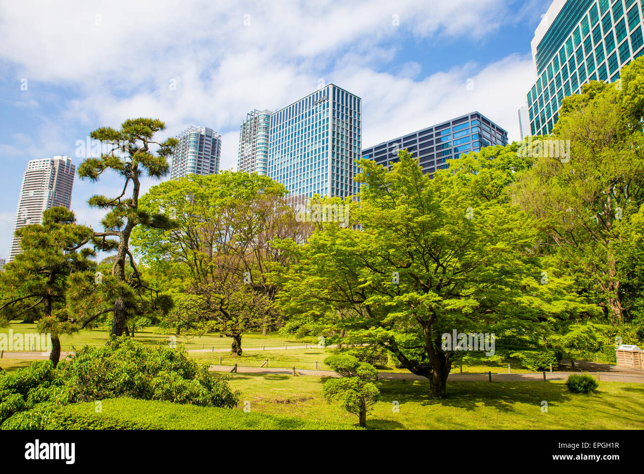 Hama Rikyu gardens with skyscrapers in the background Stock Photo - Alamy