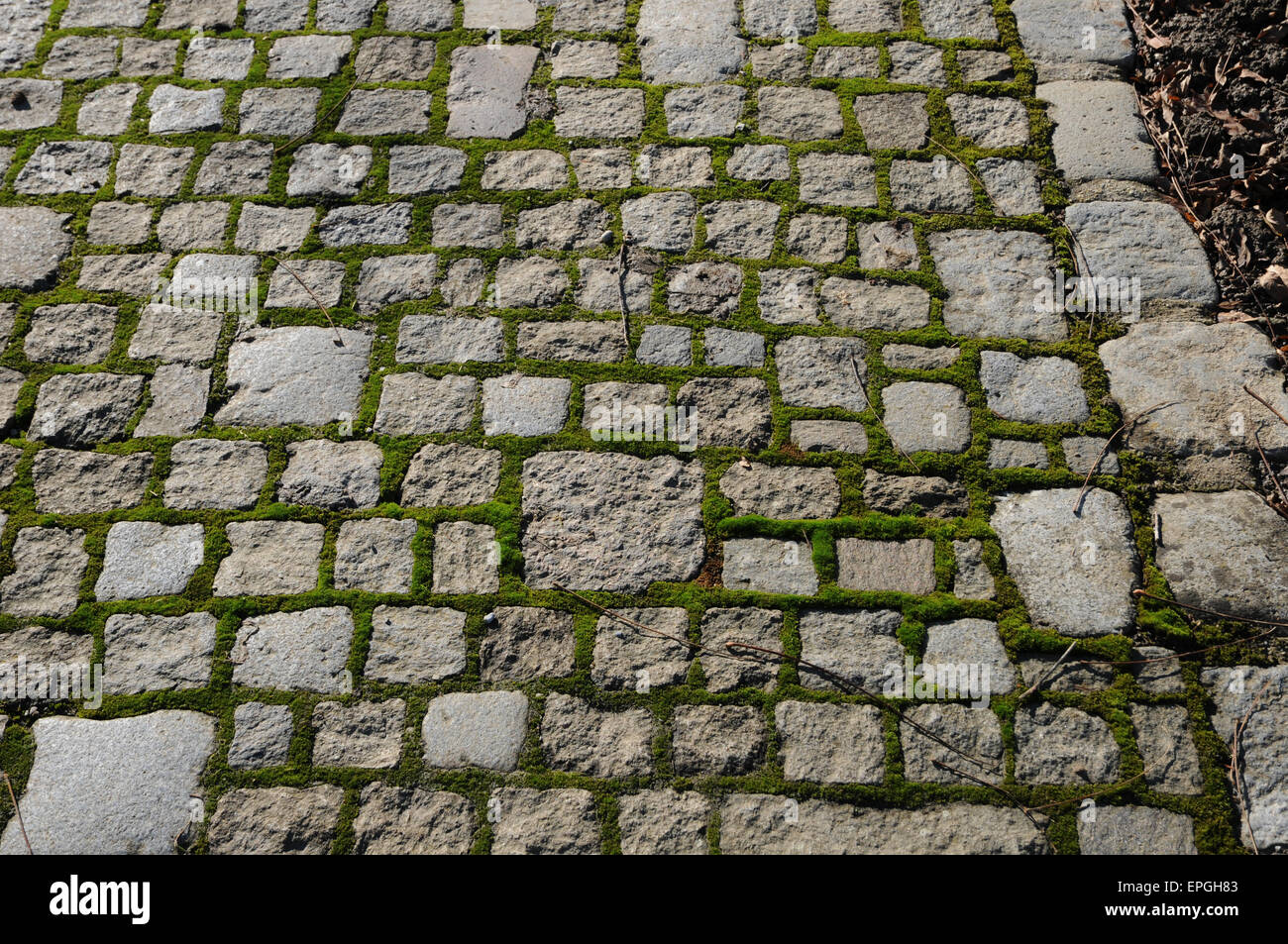 Granitpflaster hi-res stock photography and images - Alamy