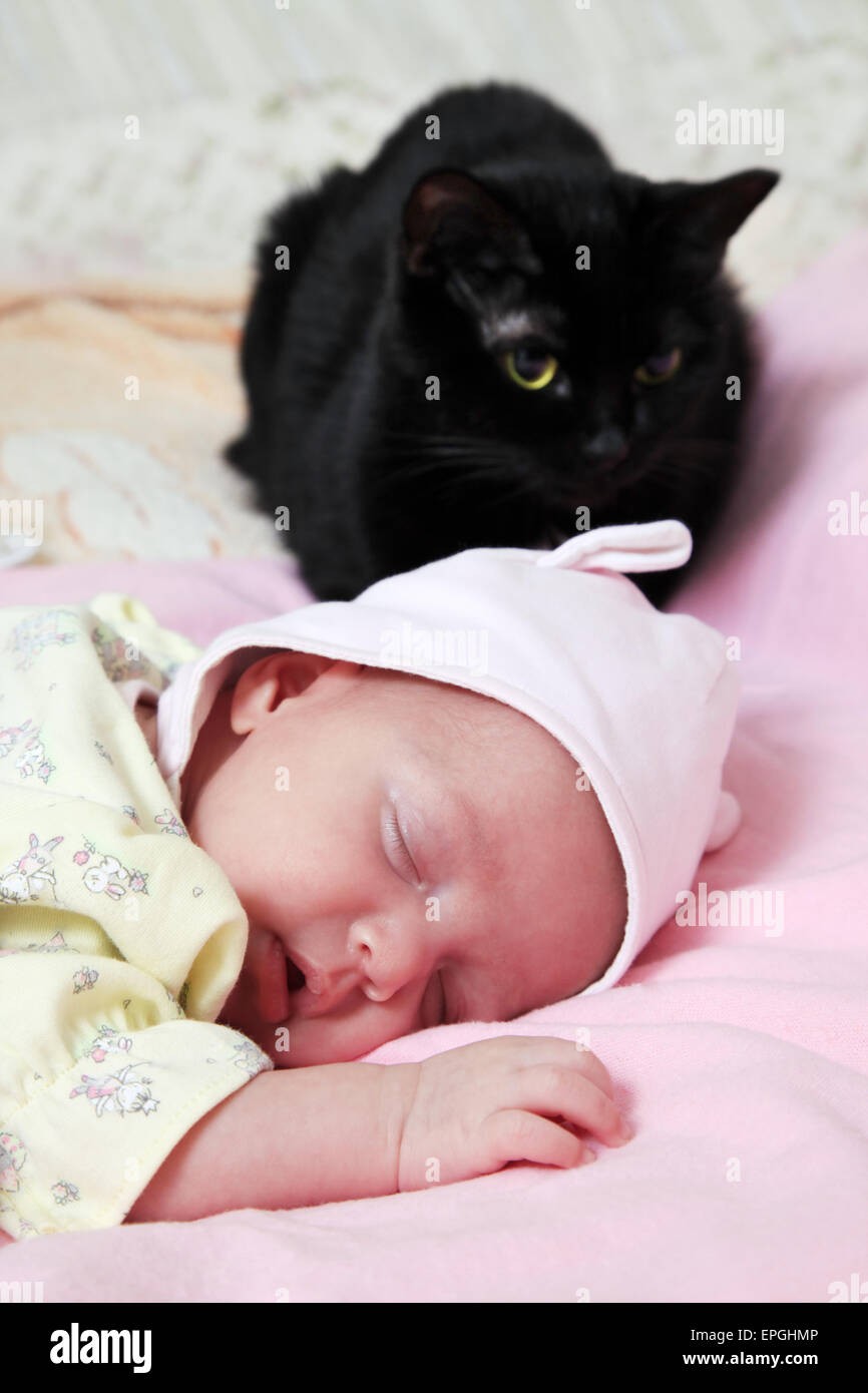 New born pet hi-res stock photography and images - Alamy