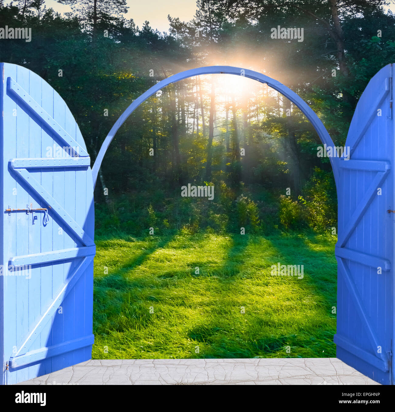 open door and a winter forest Stock Photo - Alamy