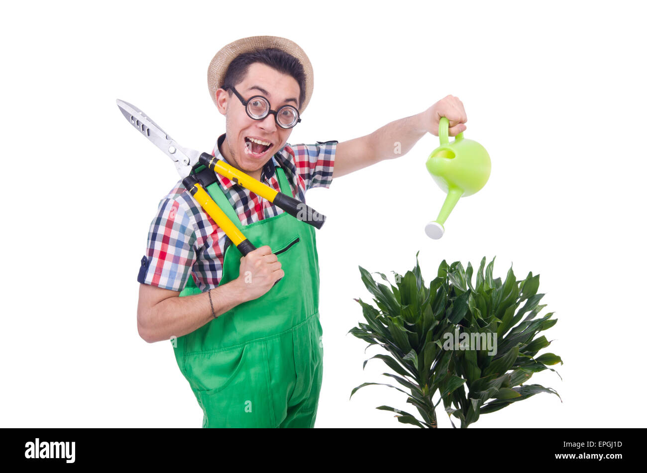 Man trimming tree Cut Out Stock Images & Pictures - Alamy