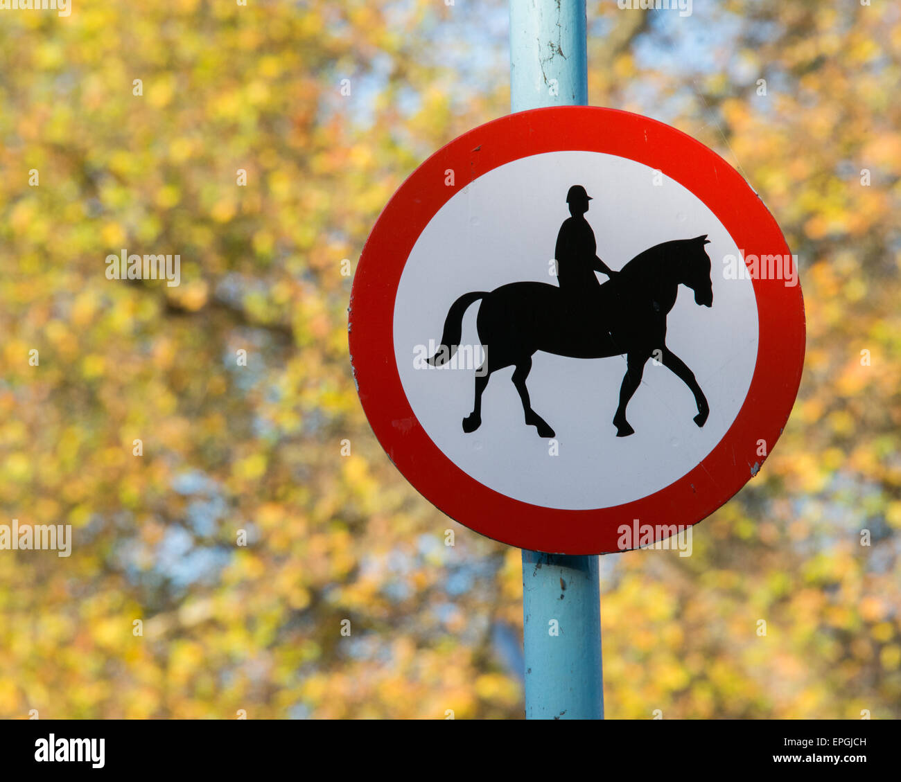 Road sign with horse patrol icon Stock Photo - Alamy