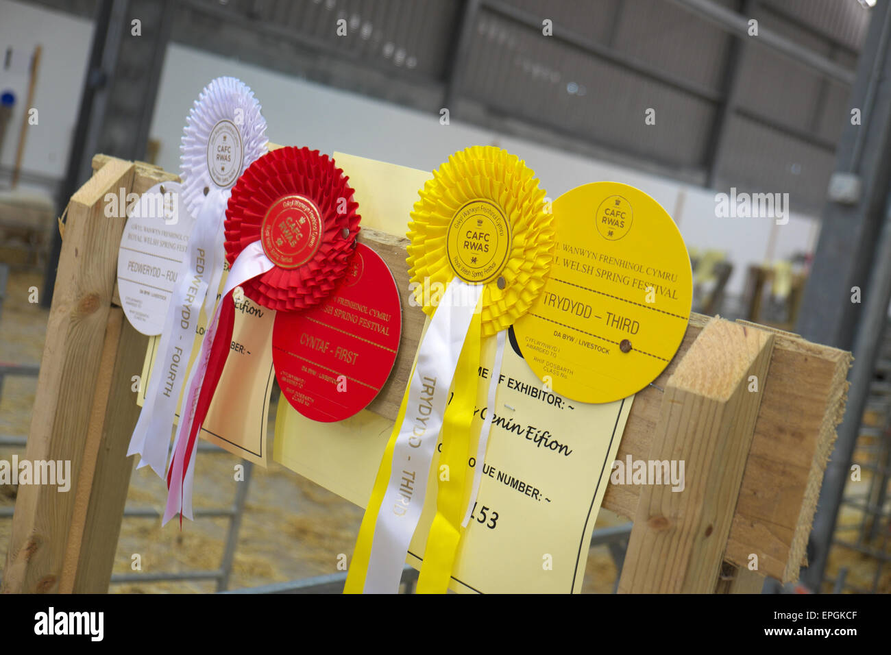 Royal Welsh Spring Festival winner rosette ( red ) for farming ...