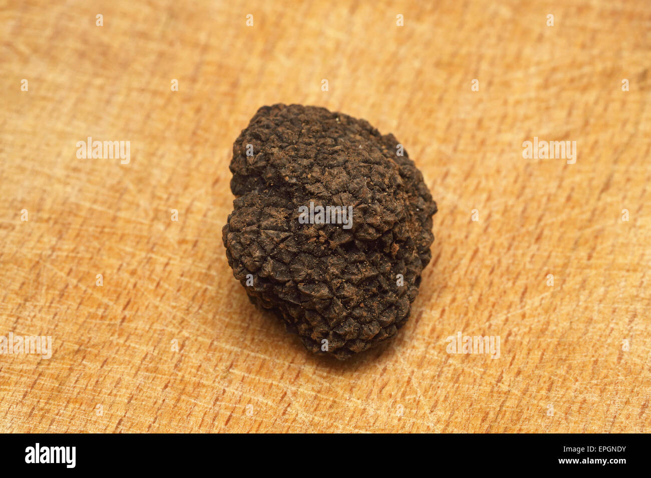 Black perigord truffle hi-res stock photography and images - Alamy