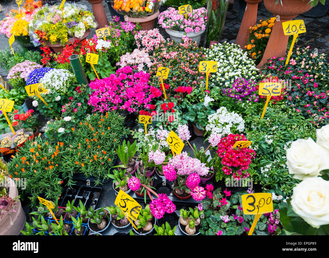 Street flower shop with colourful flowers Stock Photo - Alamy
