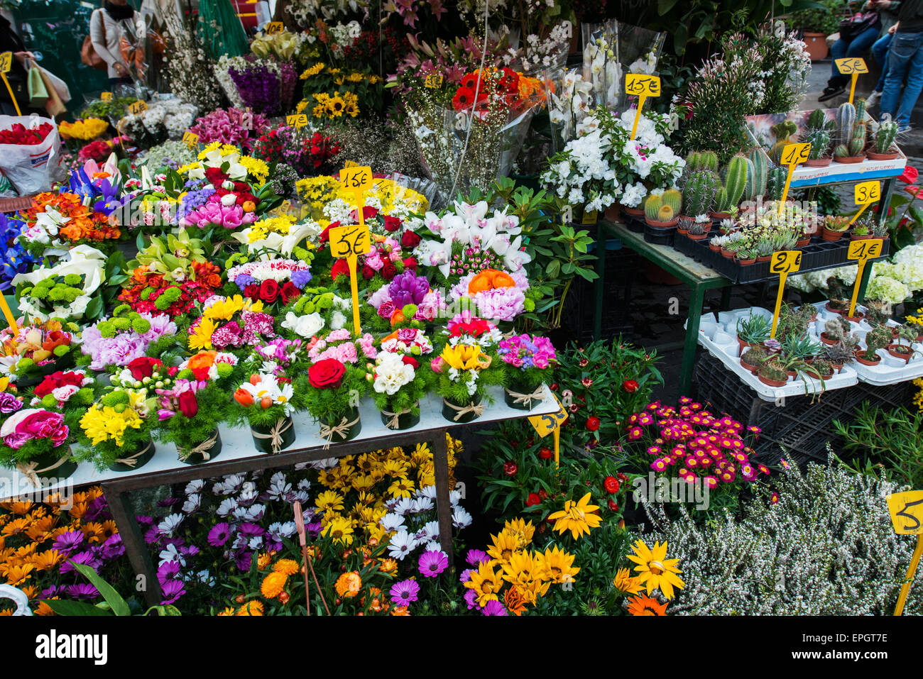 Street flower shop with colourful flowers Stock Photo - Alamy