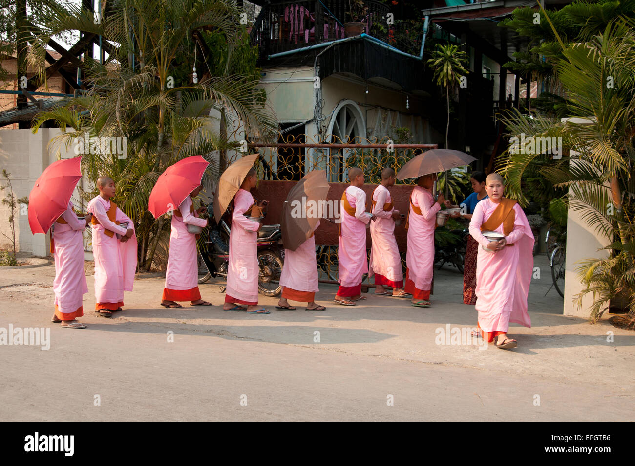 Pink robed nuns take alms in myanmar hi-res stock photography and ...