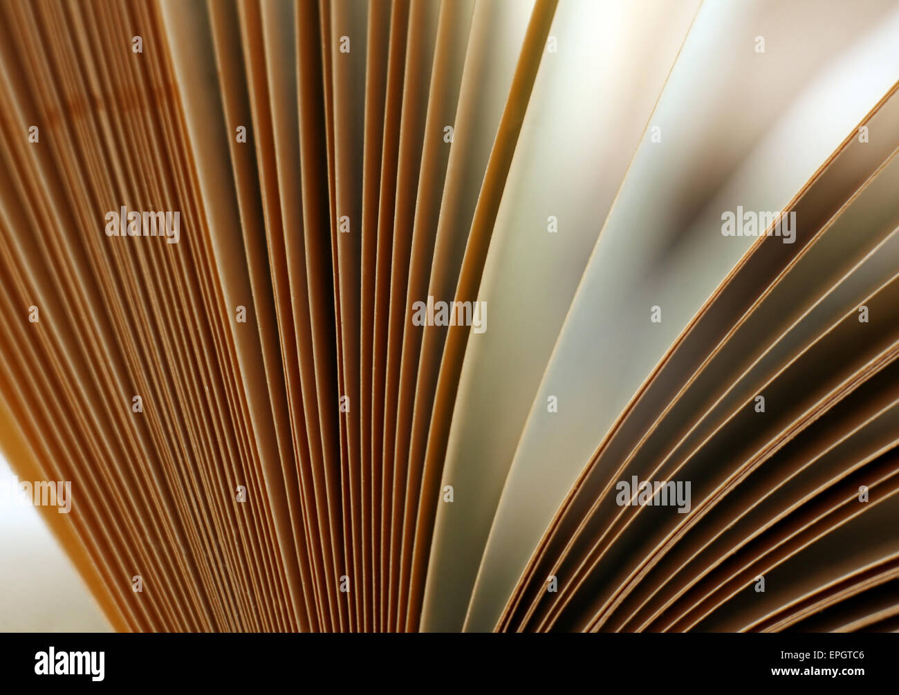 Large open book hi-res stock photography and images - Alamy