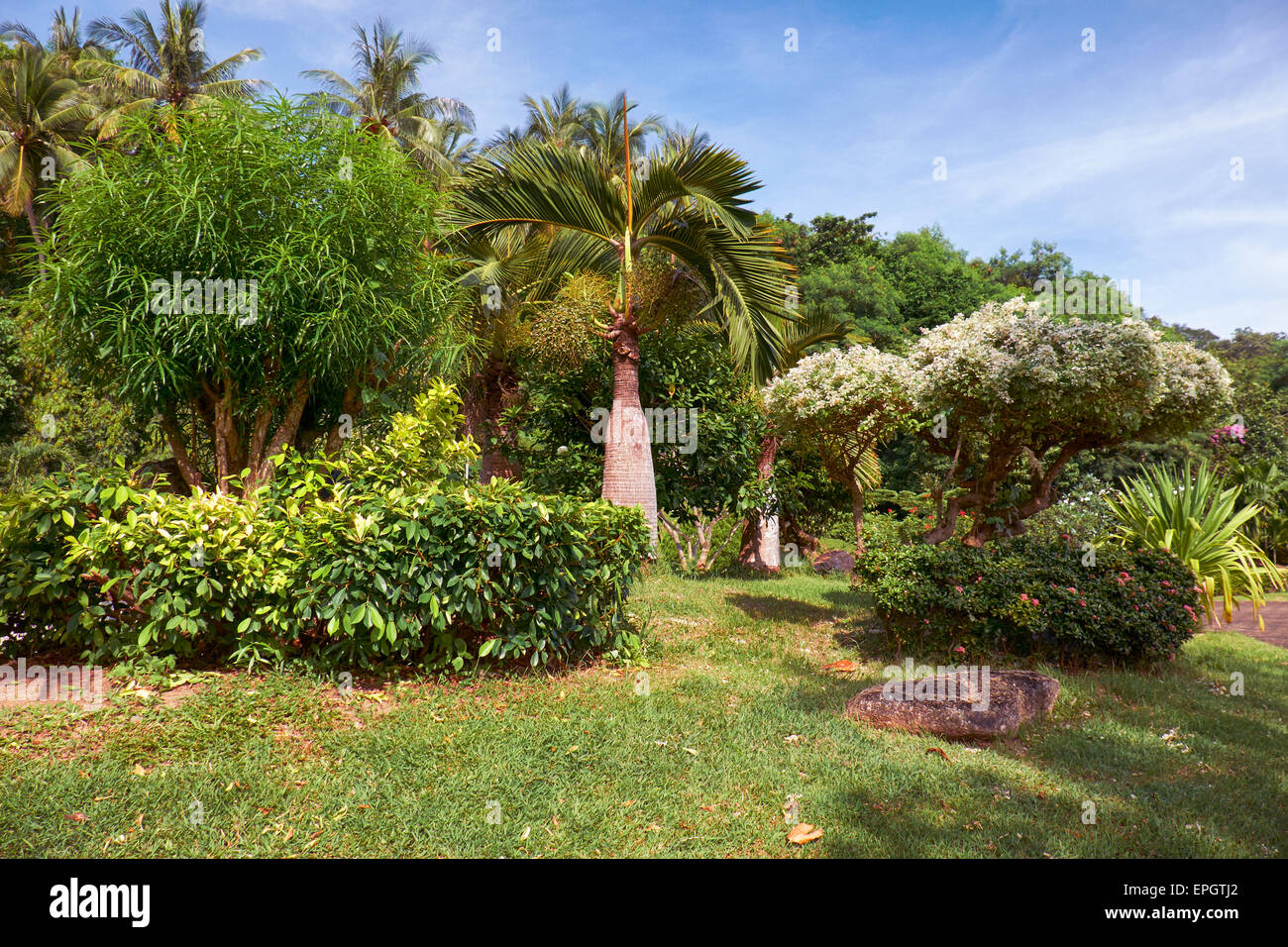 Botanical gargen hi-res stock photography and images - Alamy
