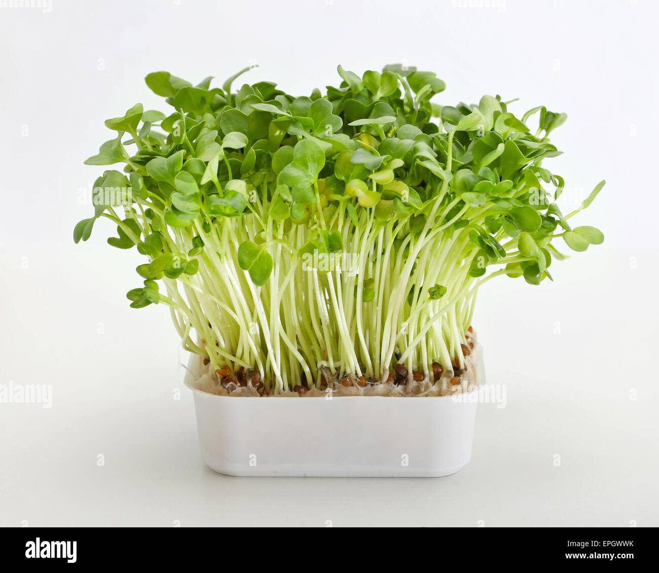 Edible watercress hi-res stock photography and images - Alamy