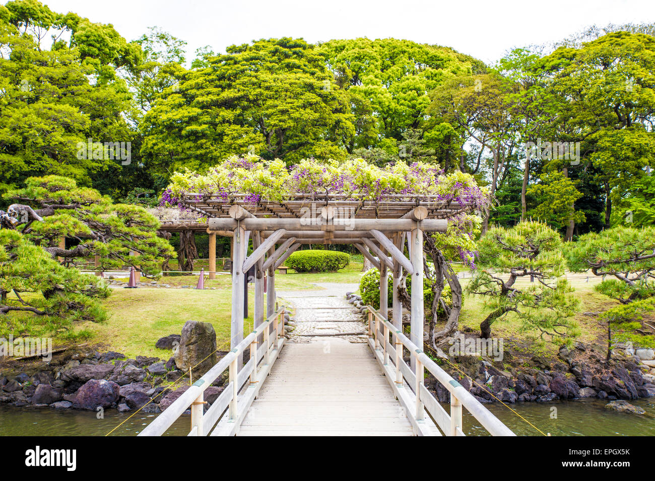 flowers growing above a bridge Stock Photo - Alamy