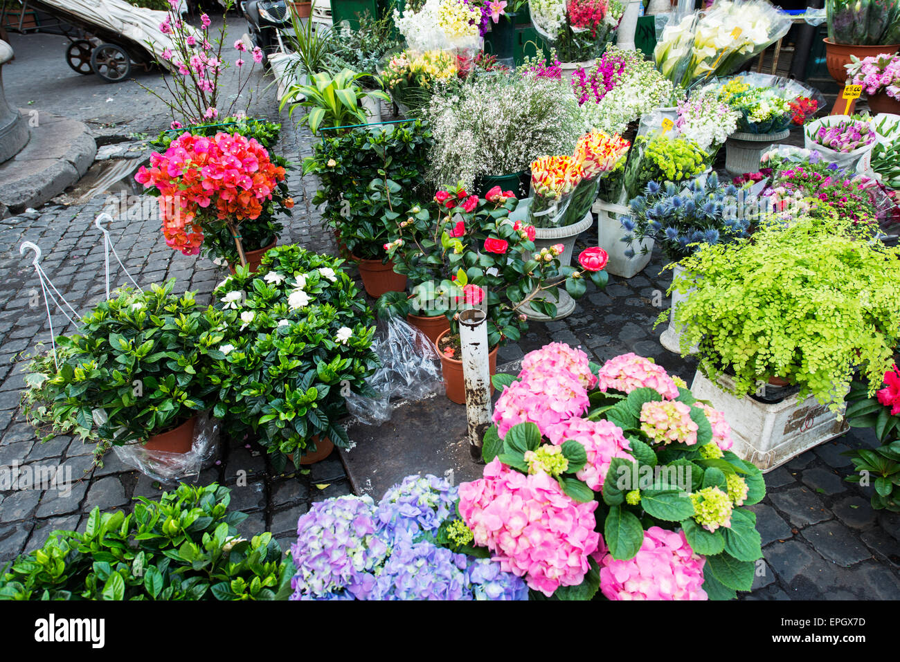 Street flower shop with colourful flowers Stock Photo - Alamy